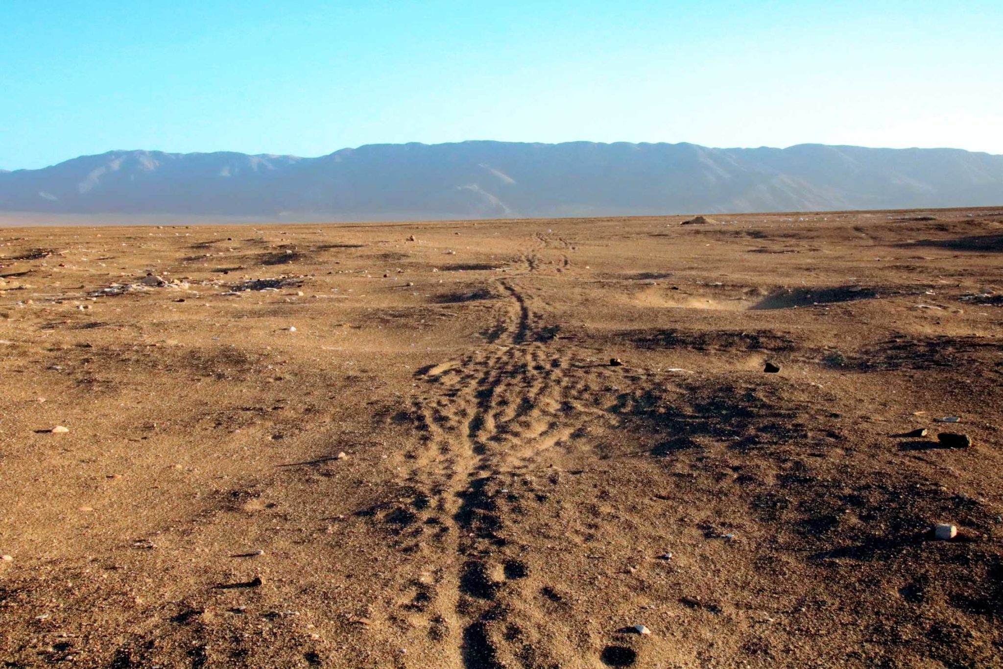 La Stele di Raimondi - ArteVarese.com